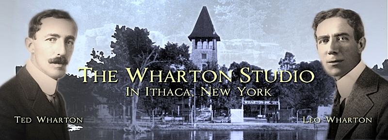 Wharton Studio Book Coming Soon!